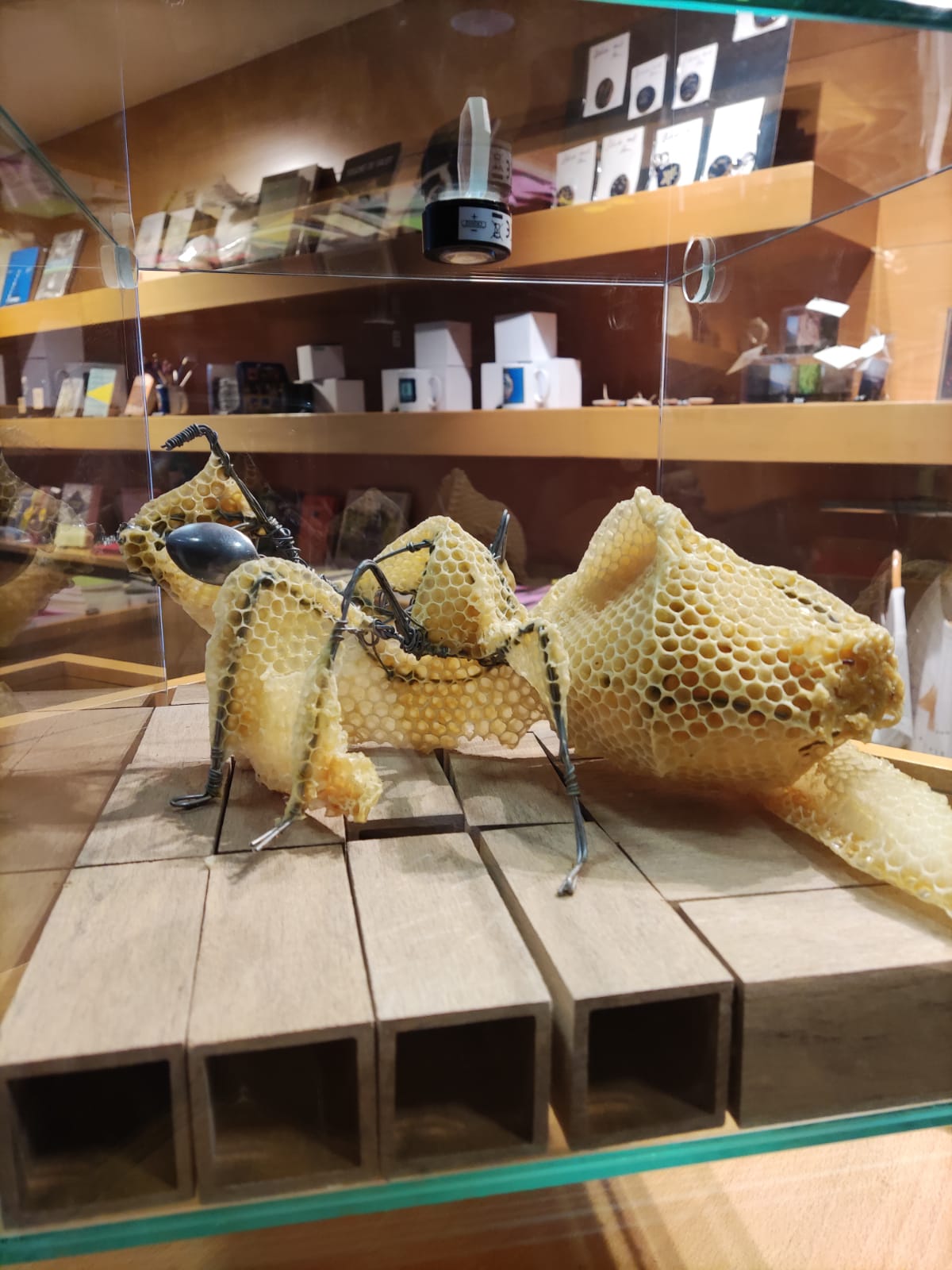 Casa Rull mostra la feina conjunta d’artista i abelles - Altaveu el ...