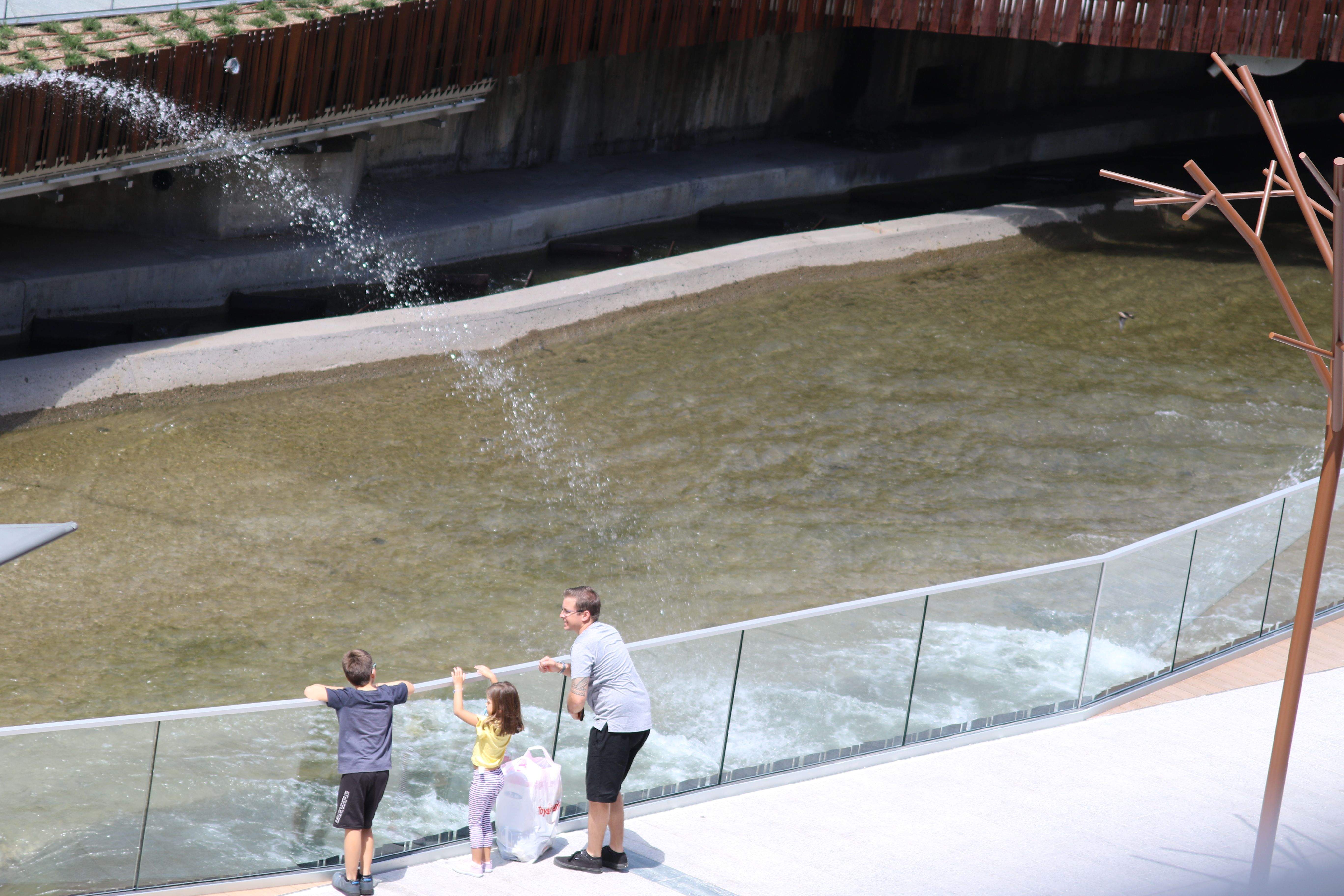 Fonts per a tots els gustos i de tots els colors - Altaveu el diari ...