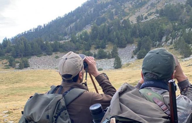 Tot a punt per a una setmana de l’isard de rècord - Altaveu el diari ...