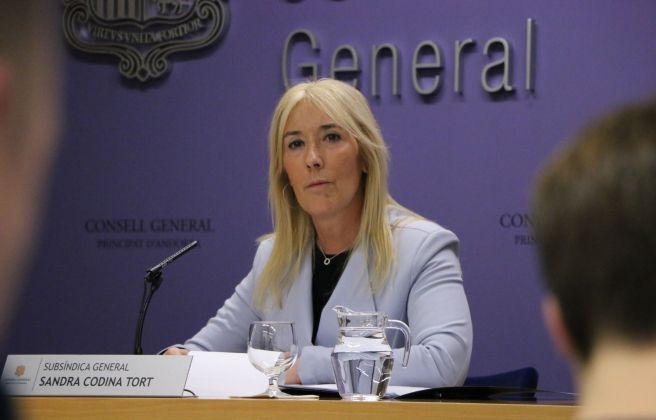 ‘Comissió d’investigació’ per esclarir les dimissions a Protecció de ...