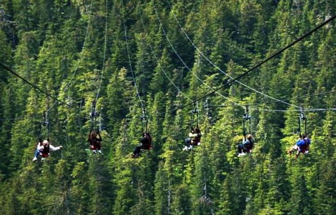 La construcció de la tirolina de Naturlandia comportarà una tala ...