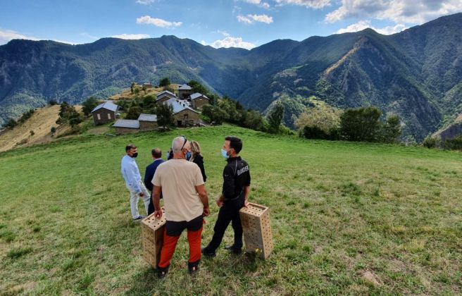 Alliberades més d’un centenar de perdius xerra procedents del centre de ...